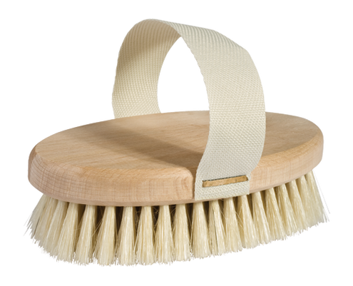 Dry Brush/ Bath Brush with Removable Handle — Mighty Market